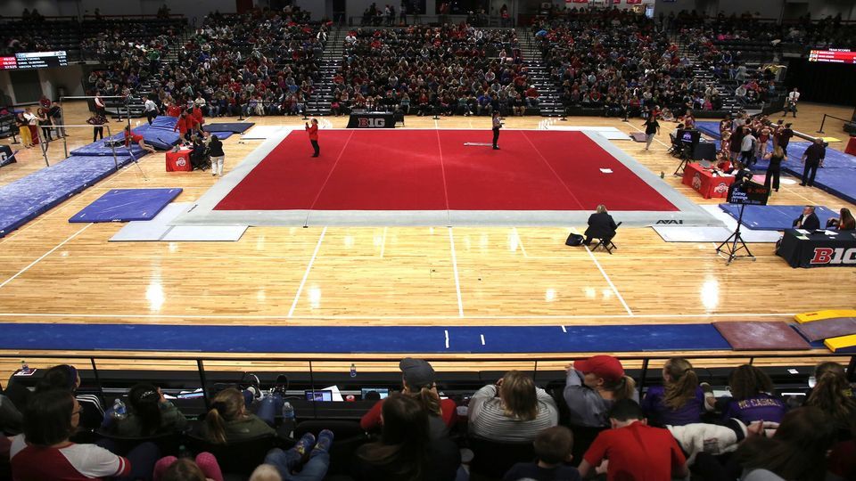 Ohio State Women s Gymnastics v All-Ohio Meet, Covelli Arena, Columbus ...