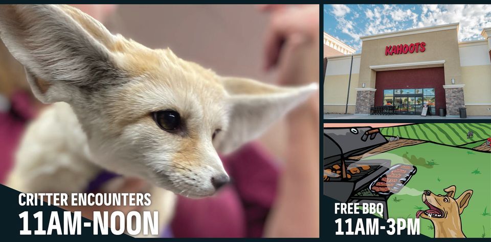 Kahoots 5th Anniversary & Critter Encounters, Kahoots Feed and Pet ...