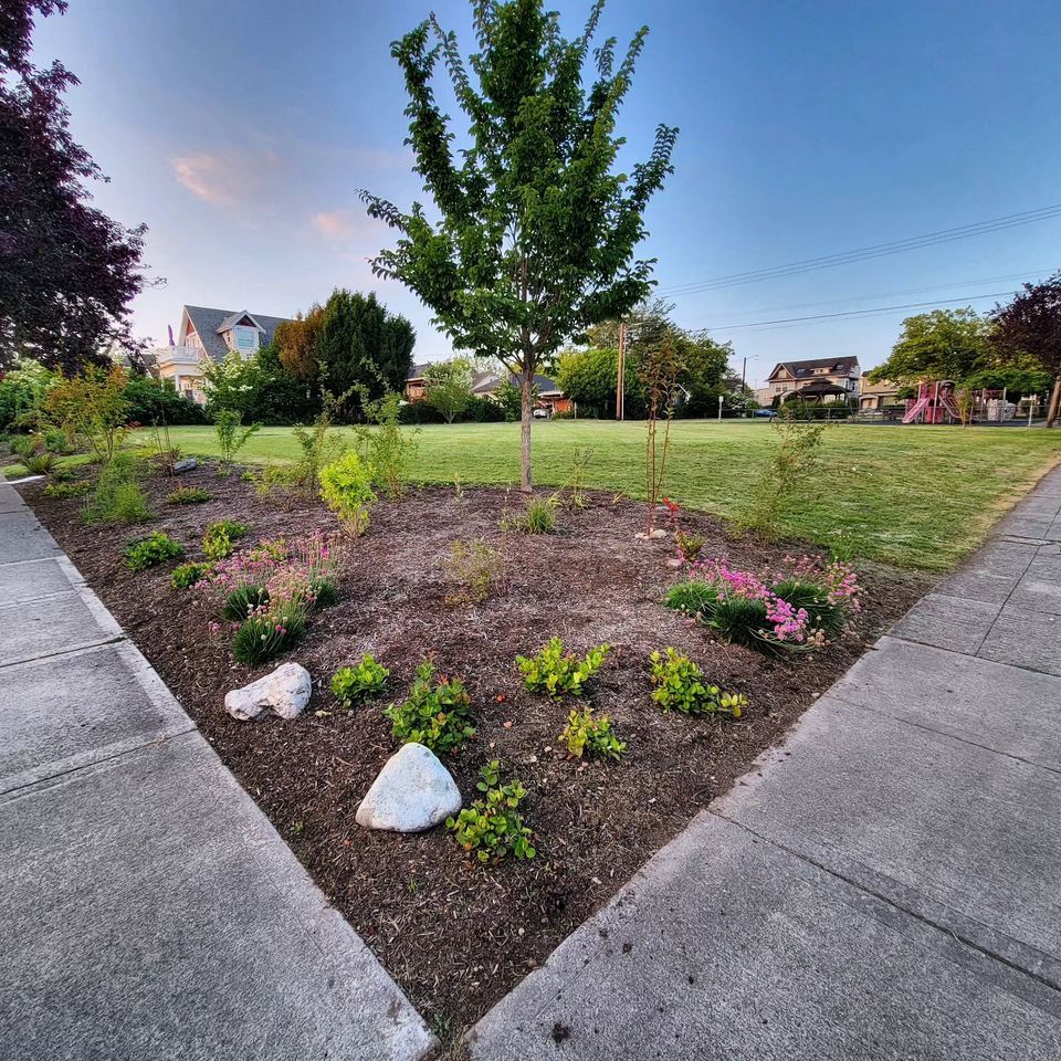 Drew Neilsen Park & Garden Clean Up, Drew Nielsen Neighborhood Park ...