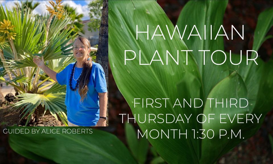 Native Plant Tour, Waikiki Aquarium, 21 December 2023 | AllEvents