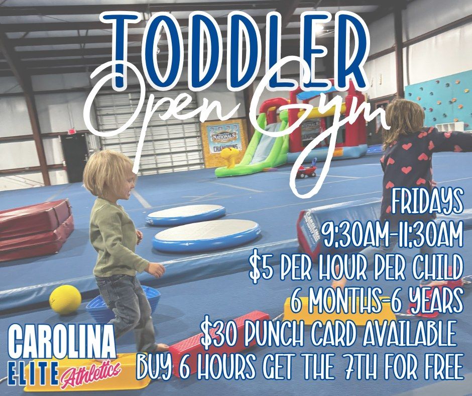 Toddler Open Gym , Carolina Elite, Inc., Hampstead, 8 December 2023 ...