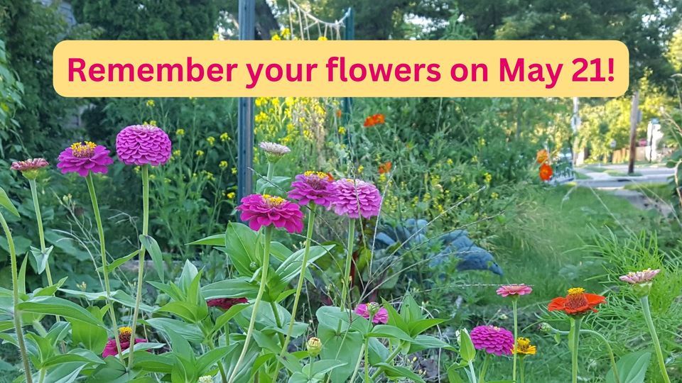 This Sunday: Multigenerational Flower Communion, Unitarian Universalist ...