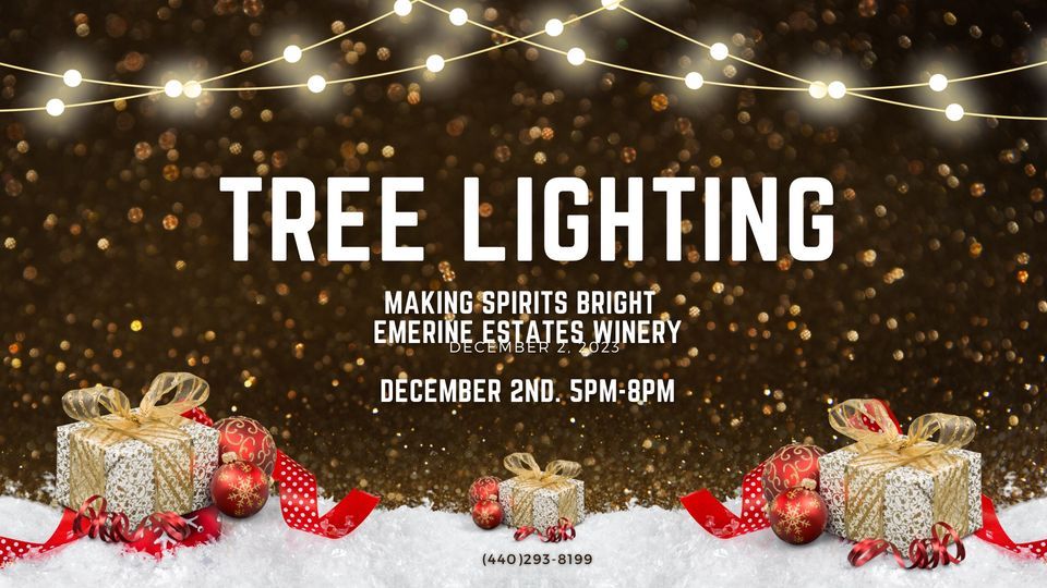 Tree Lighting Ceremony , Emerine Estates, Rock Creek, 2 December 2023 ...
