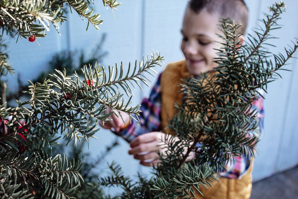 Christmas Mini Photography Sessions, Beitner Park, Traverse City, 9 ...
