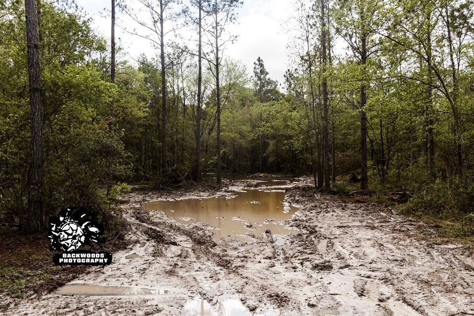 March MUDness at The Graveyard, The Graveyard, Jasper, 9 March to 12 ...