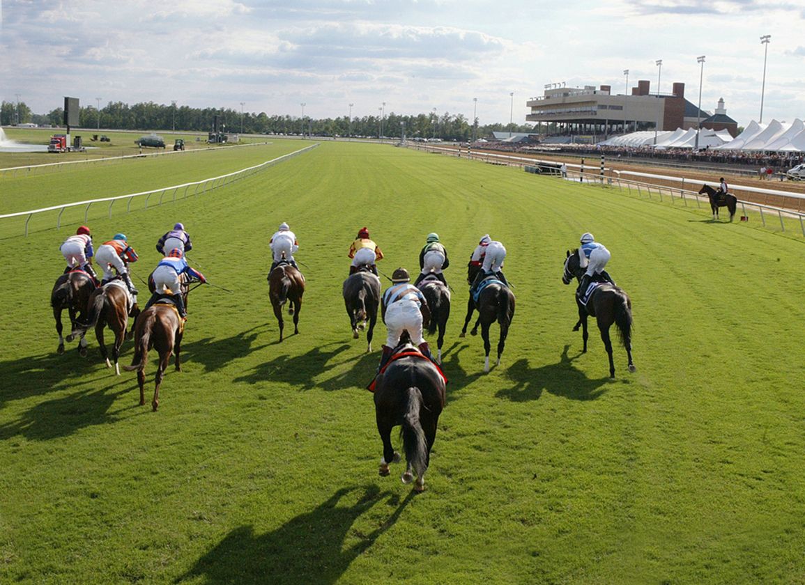 Colonial Downs Horse Racing at Colonial Downs Racetrack, Colonial Downs ...