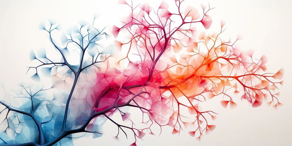 The Tau of Ramanujan A public lecture with Mathematical Sciences ...