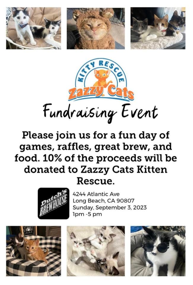Dutchs Brewhouse Zazzy Cats Fundraiser, Dutch's Brewhouse, Long Beach ...