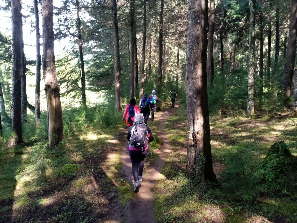 MT. KIPIPIRI HIKE EXPERIENCE, Nyandarua, Nairobi, 27 May 2023 | AllEvents