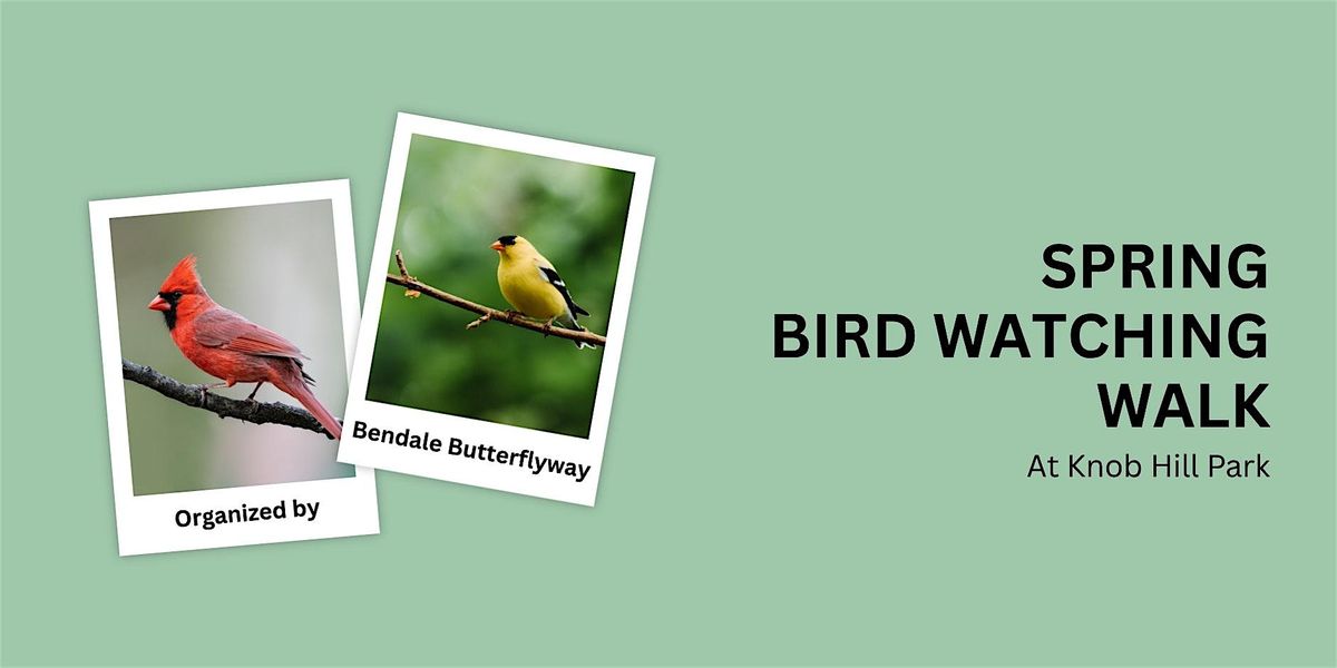 Spring Bird Watching Walk at Knob Hill Park – Things to Do in Toronto ...