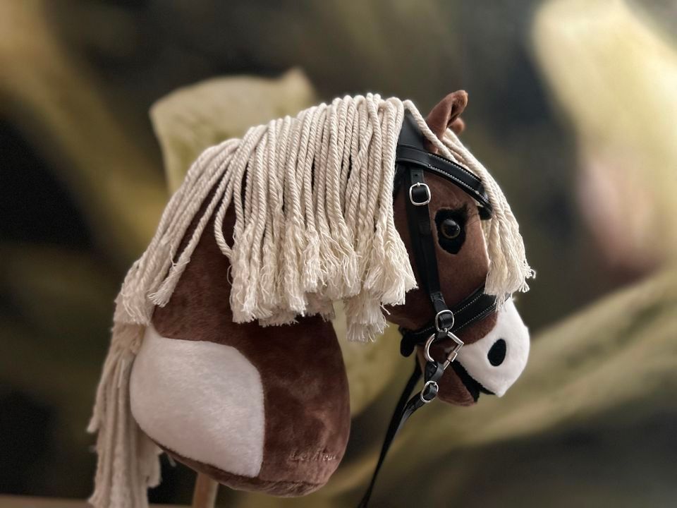 Hobby Horse Adventures - Croft Farm, Pollington, Croft Farm Livery ...