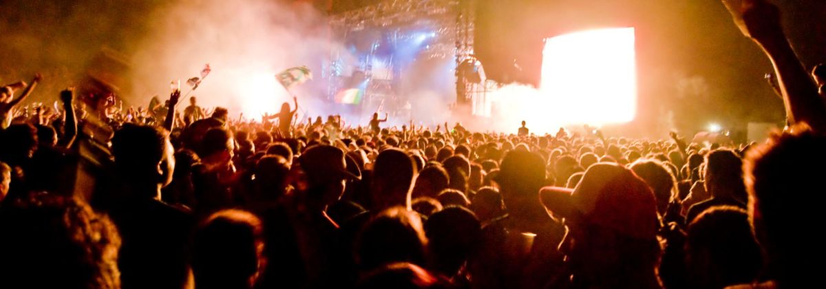 South Star Festival: Gwen Stefani & Blink 182 - 2 Day Pass, John Hunt ...