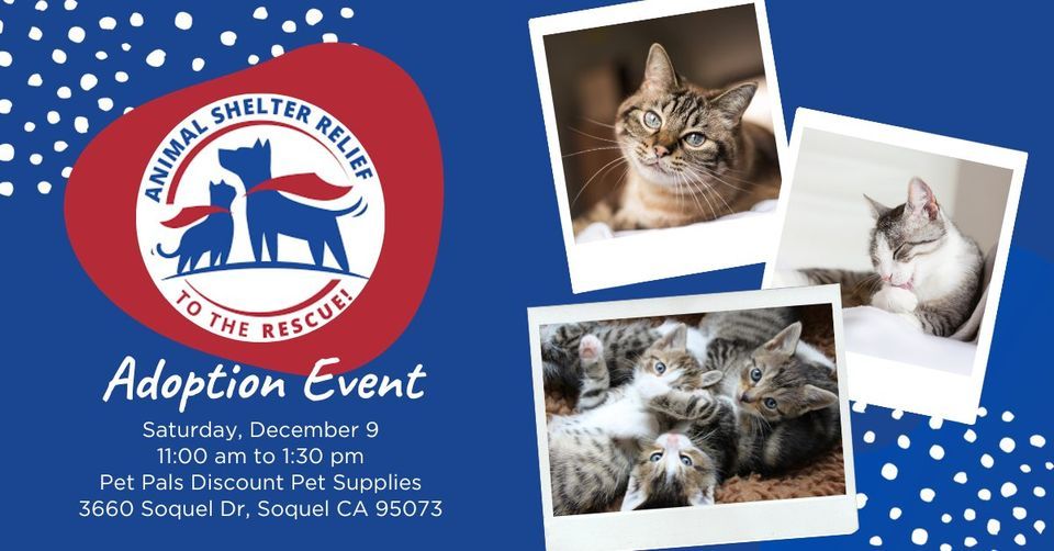 Animal Shelter Relief Rescue Adoption Fair, Pet Pals Discount Pet ...