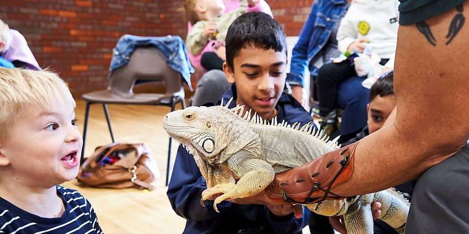 One World Animals - Twickenham 12.15pm, All Hallows Church Hall ...