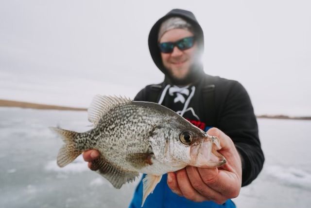 Anglers Night on Ice, Ramada Fargo, 7 December 2023 | AllEvents.in