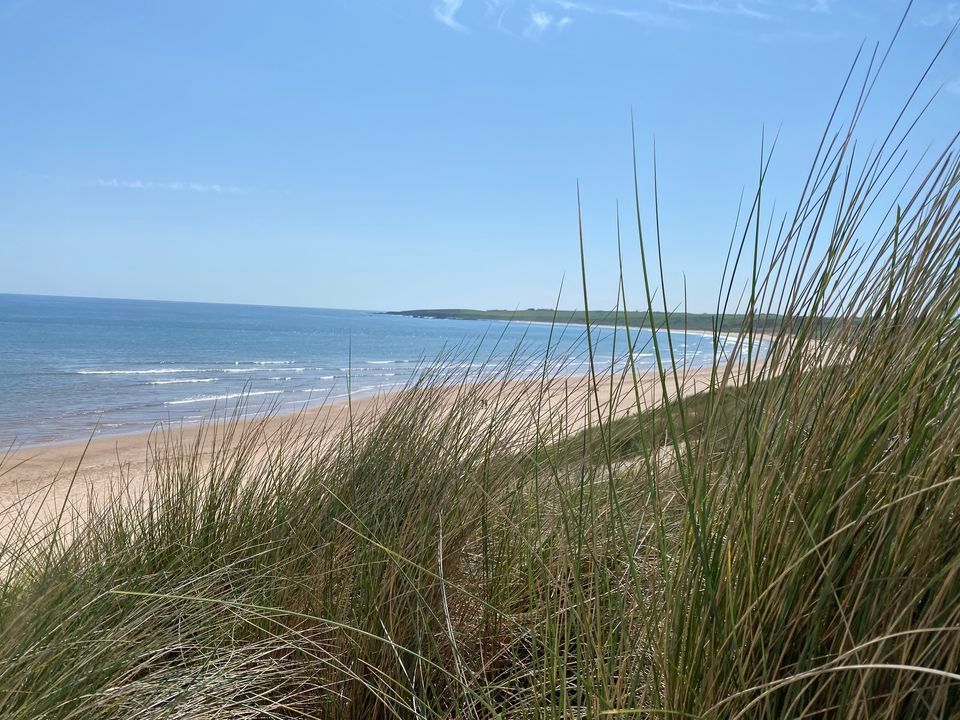 Introduction to Climate Change Impacts on the Ocean followed by a dusk ...