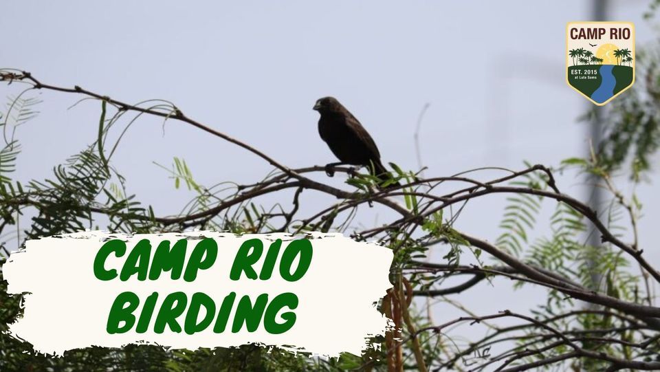 Camp RIO Birding, Camp RIO at Historic Lula Sams, San Benito, 4 ...