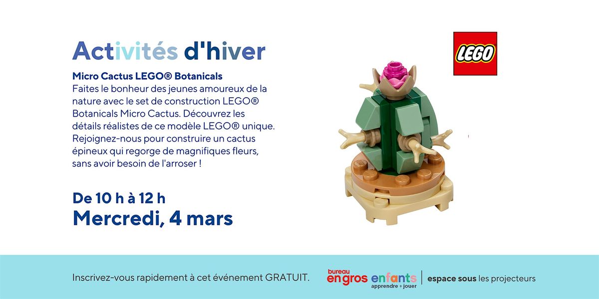 LEGO® Botanicals Micro Cactus à Bureau en Gros Brossard DiX-30 Magasin ...