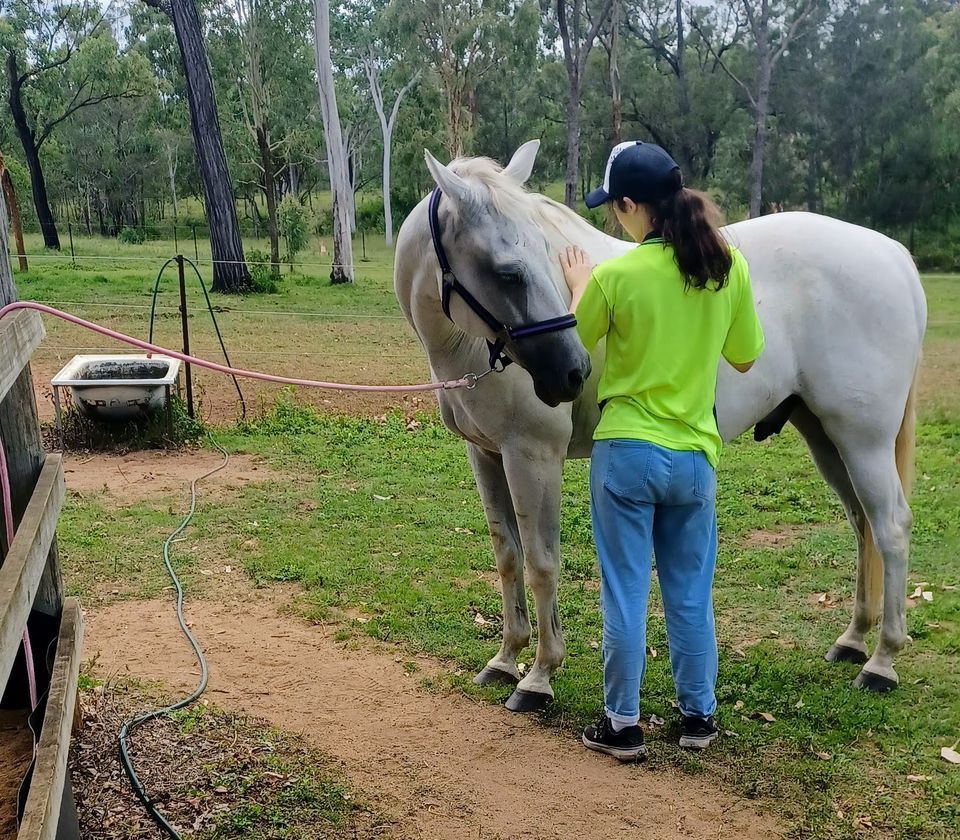 Teens Social-Emotional Resilience Workshop, Pegasus Holistic Healing ...