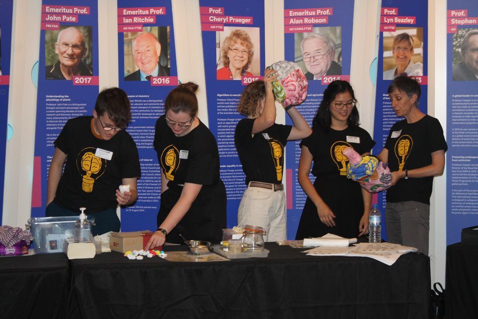 Brain Awareness Week Activities, Cnr Railway Pde and Sutherland St ...