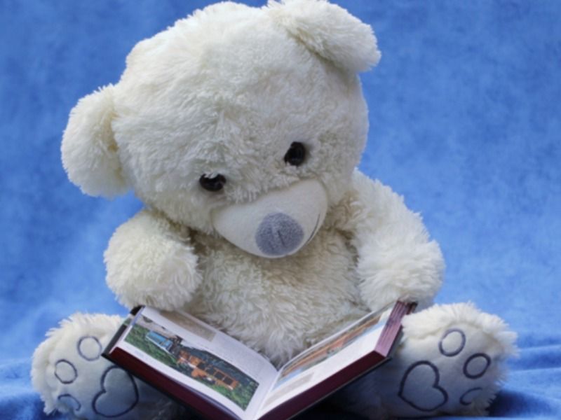 Goodnight Storytime with Teddy Bear Sleepover Party, Corner Kiewa ...