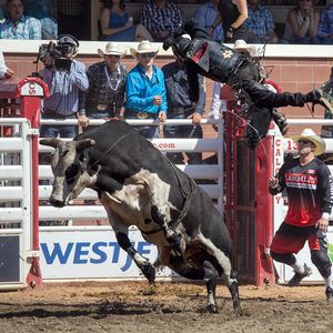 Calgary Stampede Rodeo - Day Show, GMC Stadium, Calgary | AllEvents.in