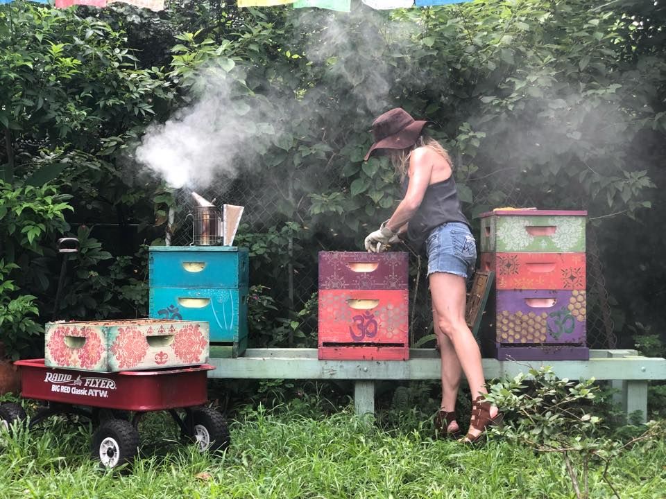 Honey Sampling and Pairing Party at Love Whole Foods in Port Orange ...