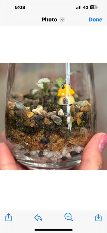 My First Terrarium, 134 Oats Street, Perth, WA, Australia, 15 March ...