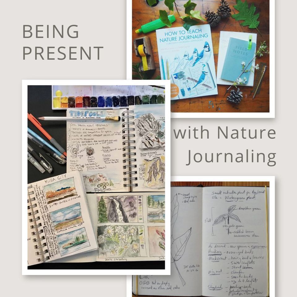 Being Present Through Nature Journaling, 600 1st St, Sebastopol, CA ...