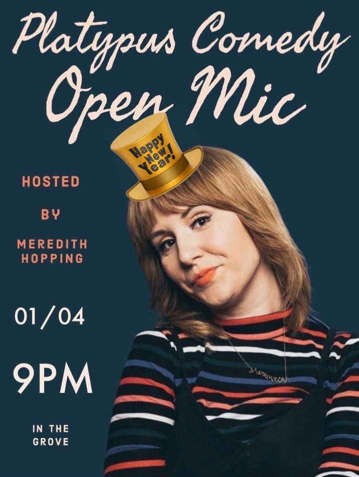 Comedy Open Mic with Meredith Hopping, Platypus, St. Louis, 4 January ...