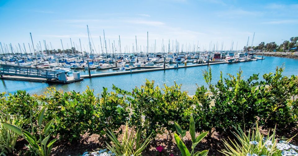 Chula Vista Bayfront Park In-Person Workshop: Help Create a Special ...