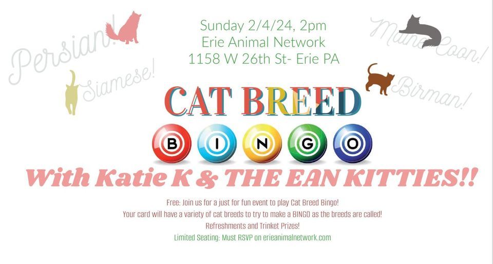 NOW FULLY BOOKED! Cat Breed Bingo with Katie K and the Kitties! , Erie ...