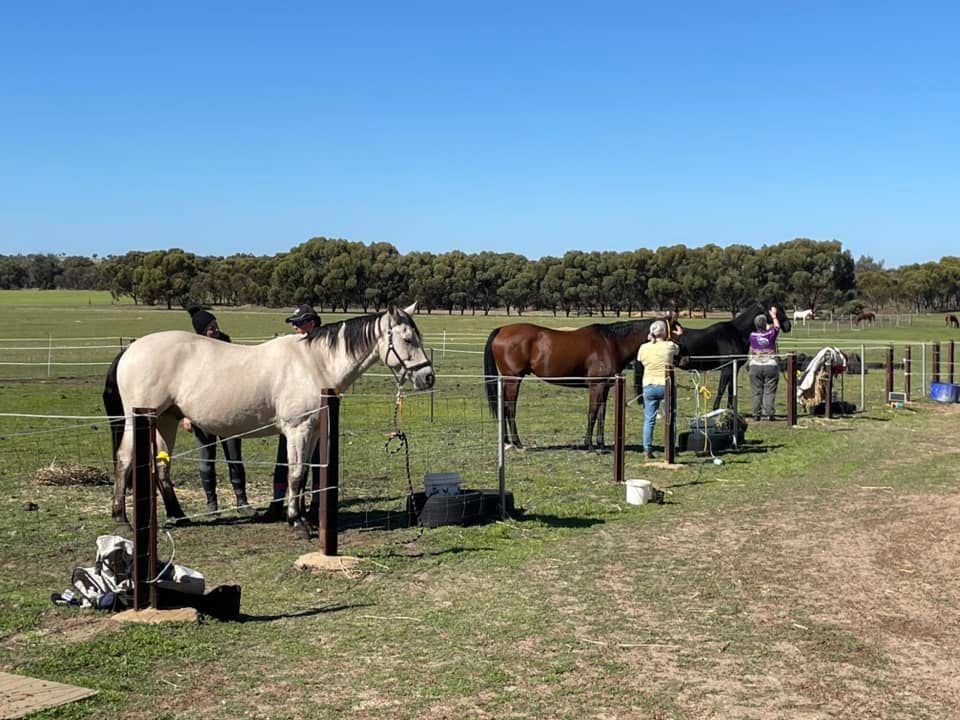 Super Workshop Weekend, 135 Pethybridge Rd, Boundain WA 6312, Australia ...