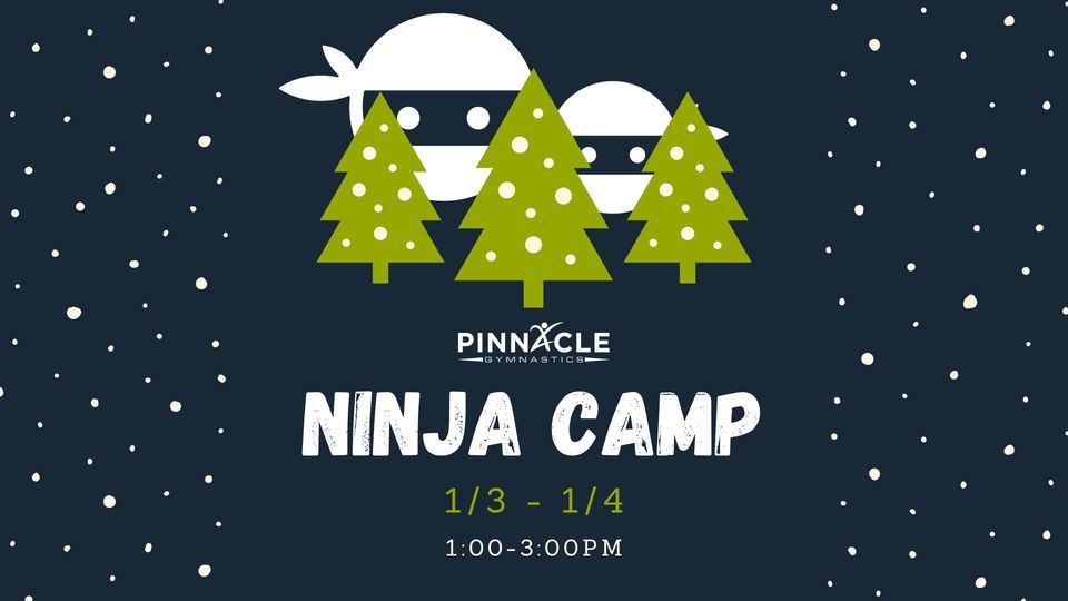 Winter Break Ninja Camp, Pinnacle Gymnastics, Clearview City, 3 January ...