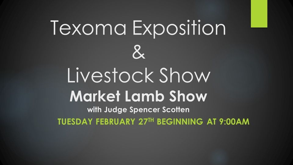 2024 TELS Market Lamb Show, Loy Lake - Mayor Arena, Denison, 27 ...