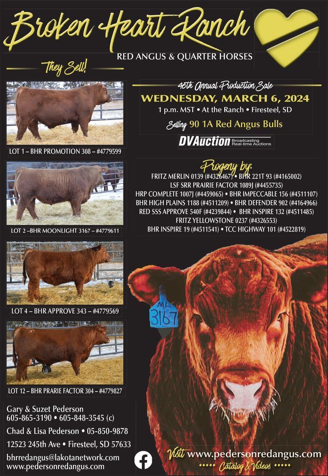 Broken Heart Ranch Red Angus & Quarter Horses 46th Annual Production ...