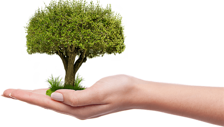 Campus as a Living Lab: Arbor Day Tree Planting, College of Staten ...