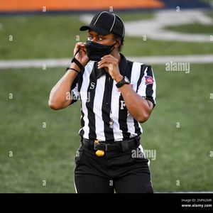 Illinois Fighting Illini at Minnesota Golden Gophers Baseball, Siebert ...
