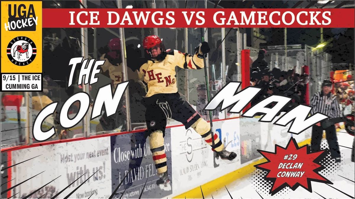 Georgia Ice Dawgs vs. South Carolina Gamecocks, Akins Arena at The ...