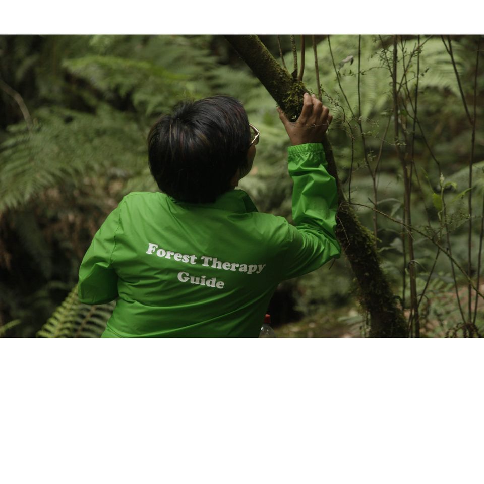 Introduction to Forest Therapy, Narana Aboriginal Cultural Centre ...