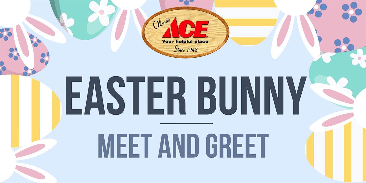Olsons Ace Hardware | Easter Egg Hunt, 700 N Northwest Hwy, Park Ridge ...