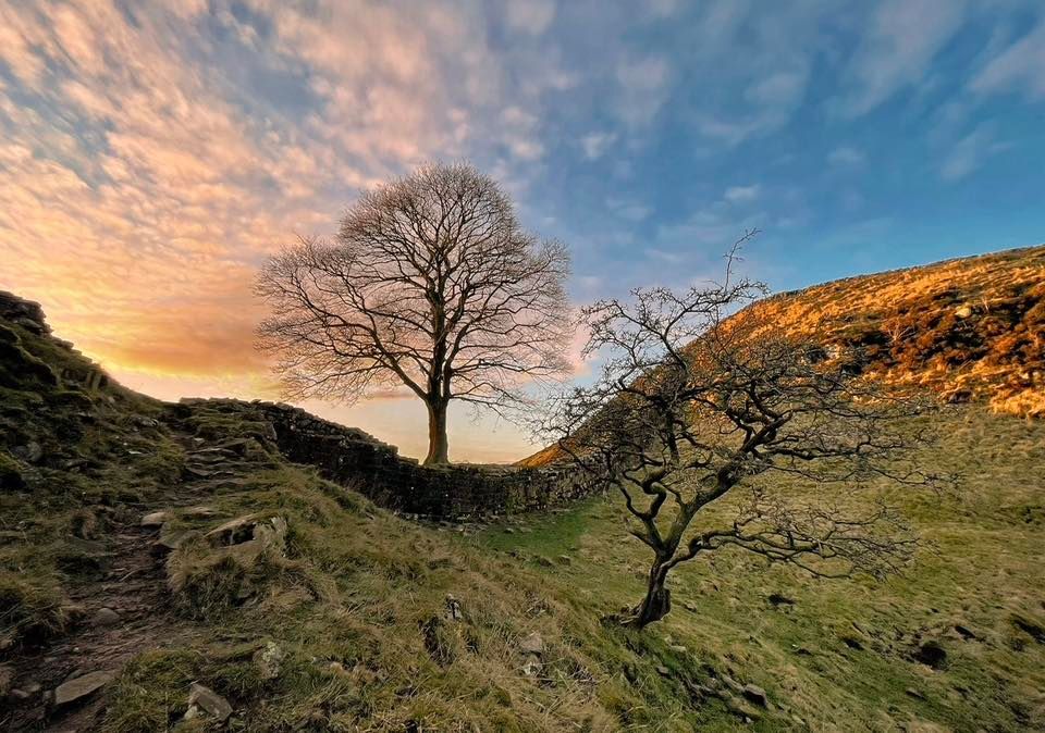 tarka trail , Valley of the Rocks, Barnstaple, 25 March 2024 | AllEvents