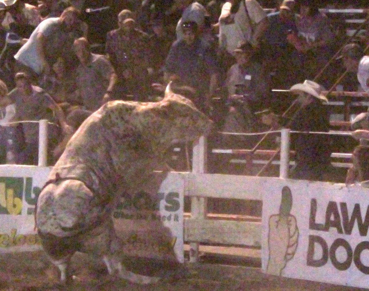 Preston Night Rodeo (Rodeo), That Famous Preston Night Rodeo, 2 August ...