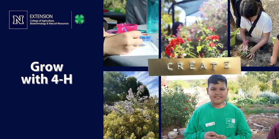 Grow with 4-H | Spring Break Day Camp, 8050 Paradise Road,Las Vegas ...