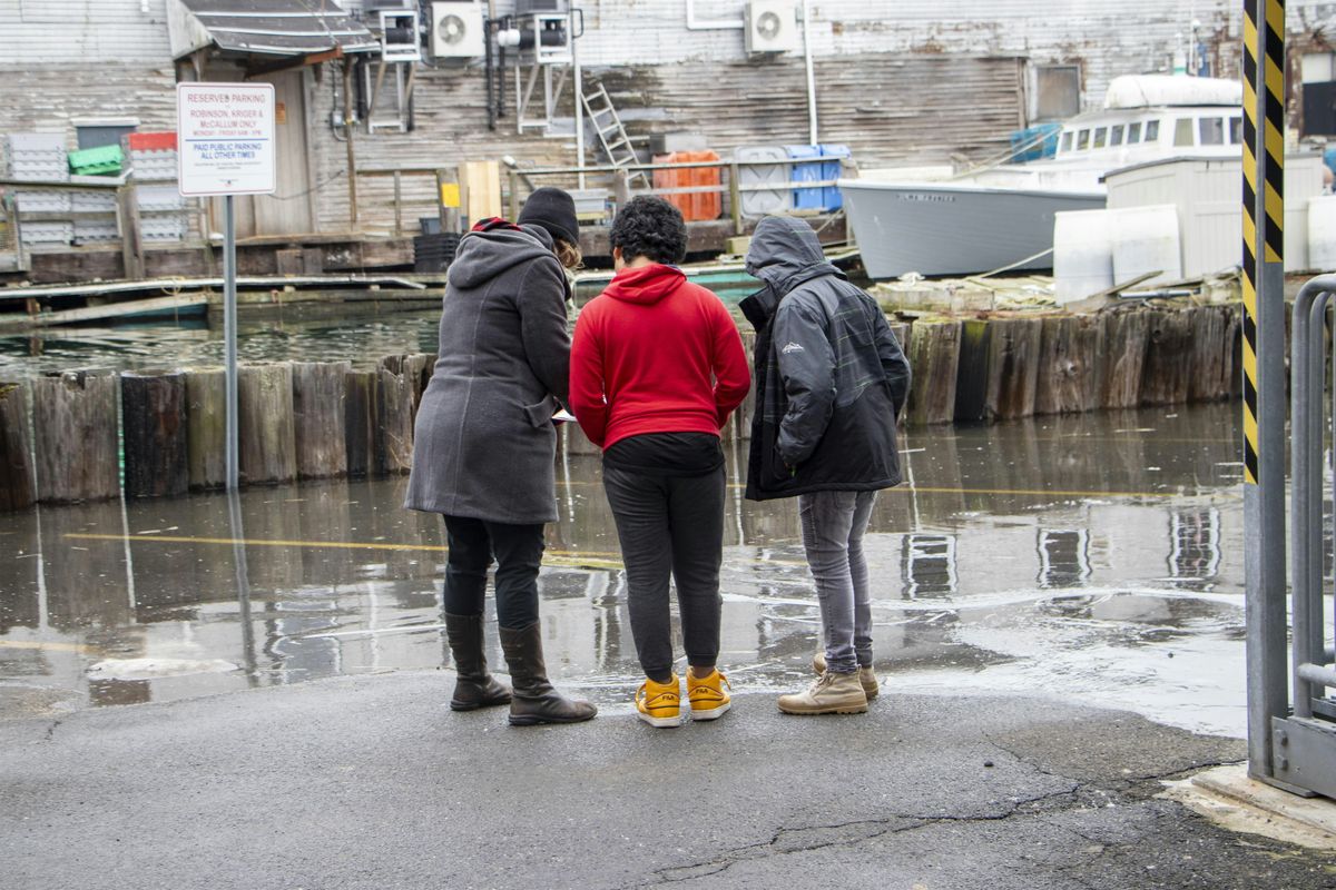Educator Workshop: Coastal Flooding Data and Decision Making, Rockland ...