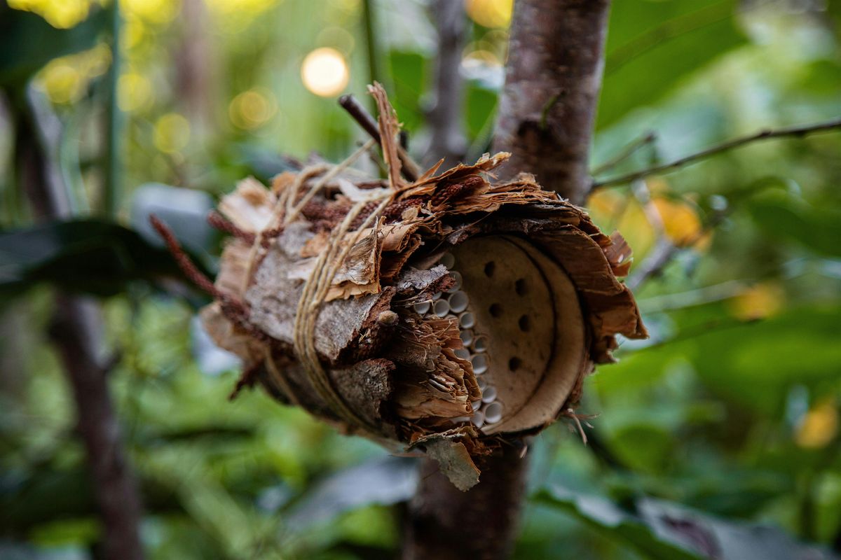 Native bee hotel workshop with Urban Bee Co., IndigiScapes Centre ...
