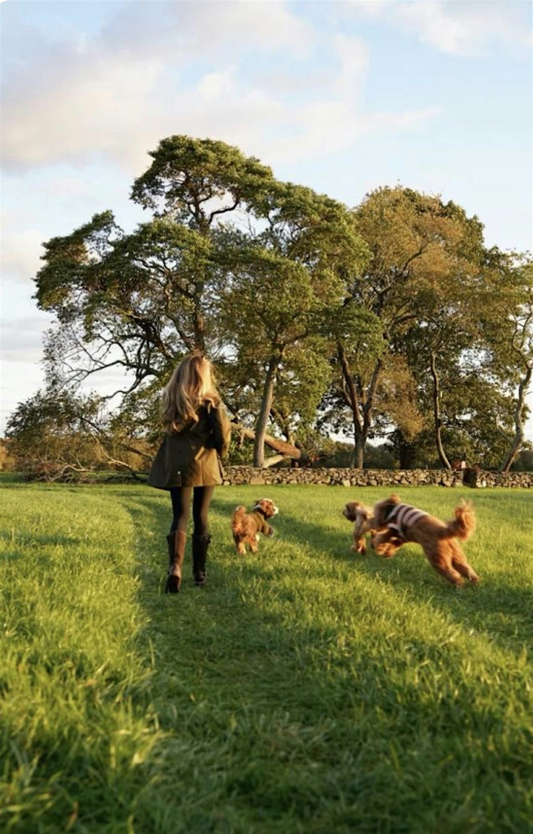 Pup Social NWI Dog Mom Meetup, Lake Hills Park, Saint John, 30 May 2026 ...