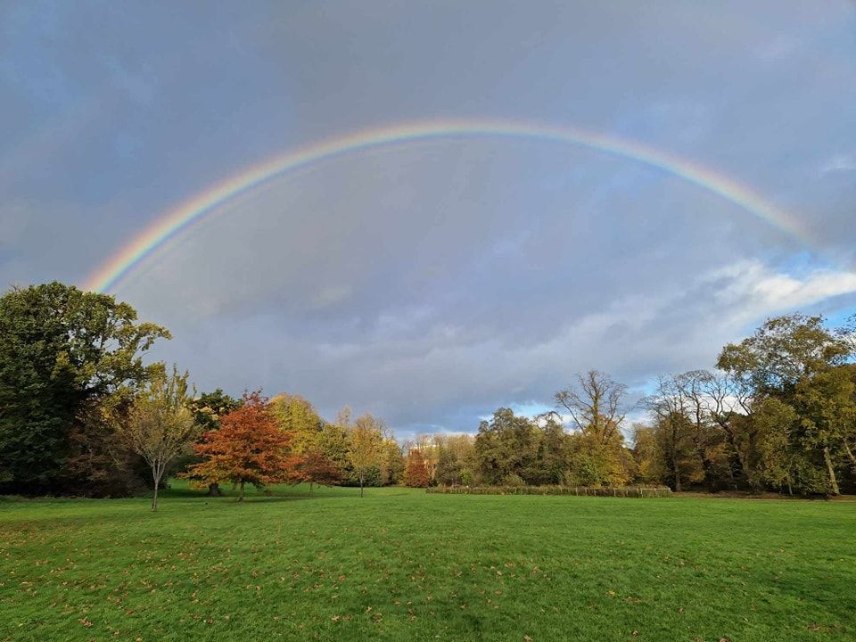 Weekend volunteering sessions in Manor Farm Park, Manor Farm Park ...