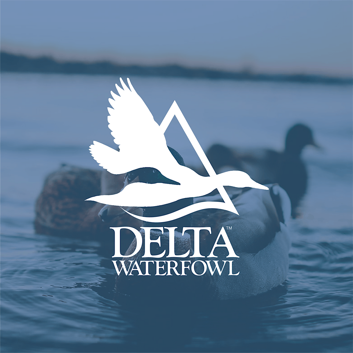 Delta Waterfowl Montgomery Banquet, Alabama Nature Center, Millbrook, 7 ...
