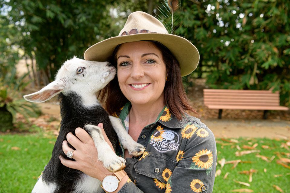 GUIDED FARM TOUR , Splitters Farm, Sharon, 23 December 2023 | AllEvents